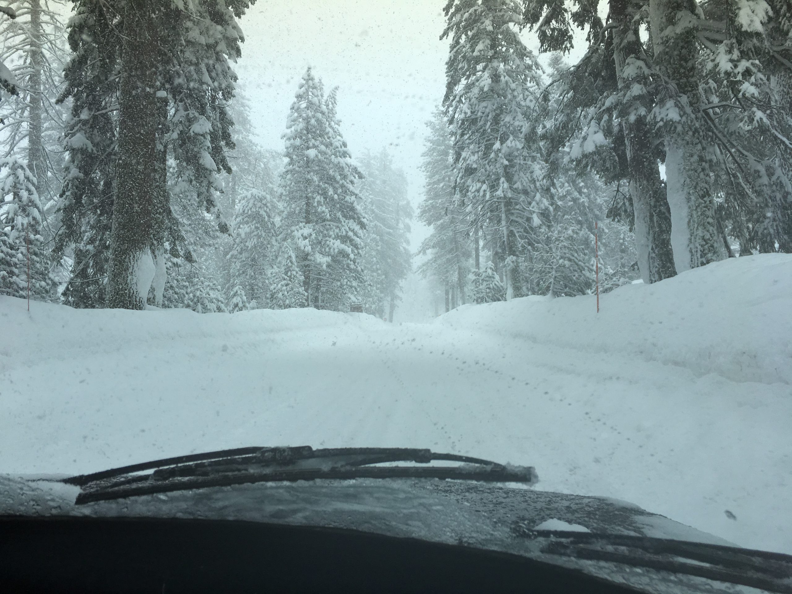 A February Excursion to Snow in Sequoia National Park - Windward Ho!