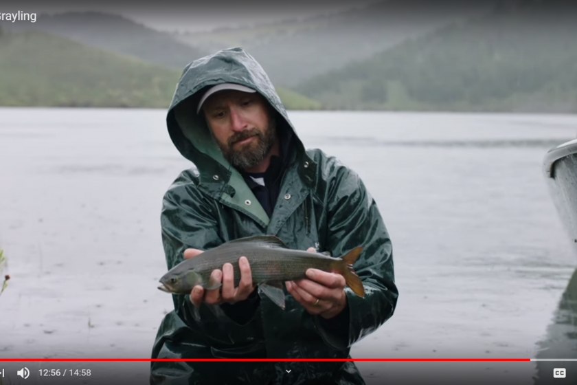 A February Excursion to Snow in Sequoia National Park - Windward Ho!